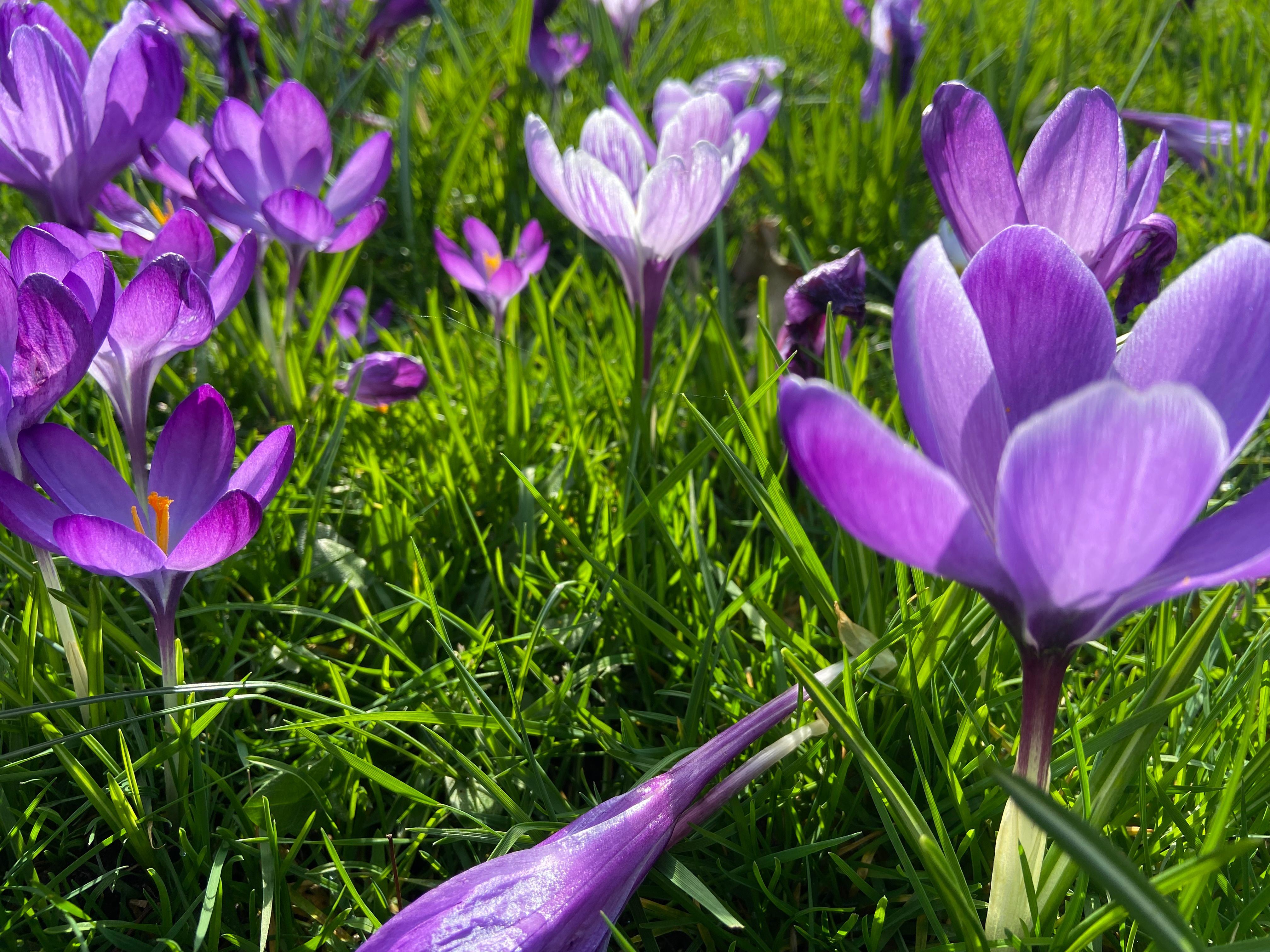 Wat is Personal Branding? Alle vragen en antwoorden over Personal Branding | Stassar Branding ...